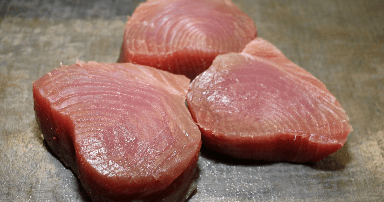 Thon Musculation : Le Poisson Roi Des Protéines En Conserve